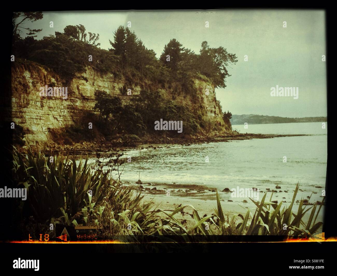 A sea side view of Auckland, New Zealand Stock Photo - Alamy