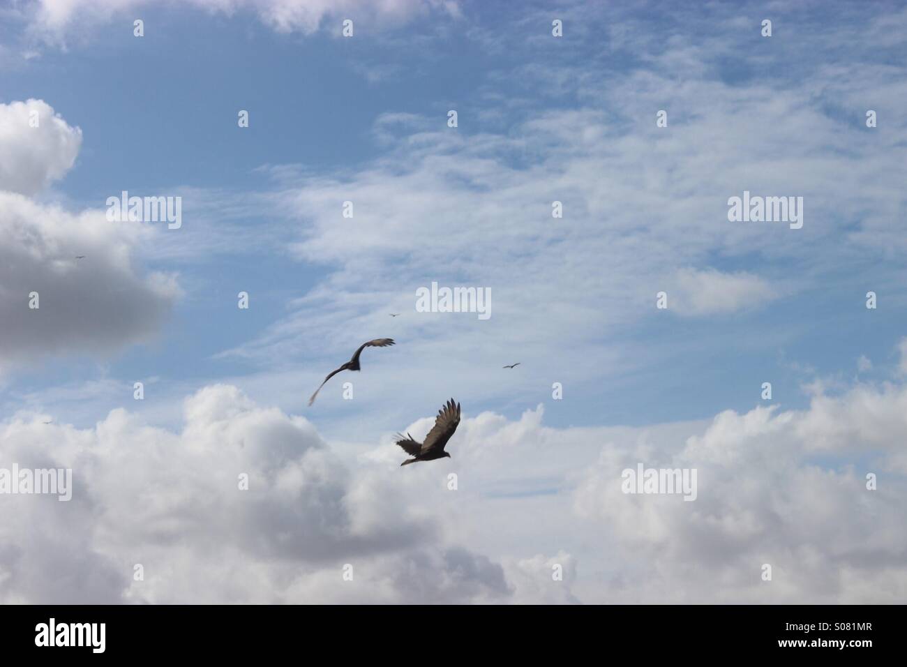 Flying through clouds hi-res stock photography and images - Alamy