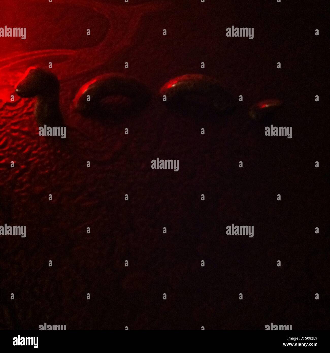 Lochness monster hi-res stock photography and images - Alamy