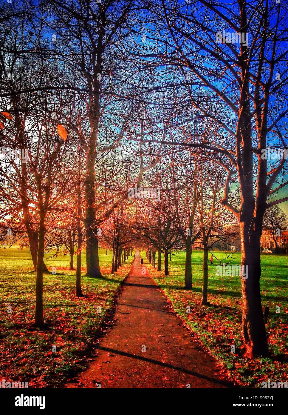 Park straight hi-res stock photography and images - Alamy
