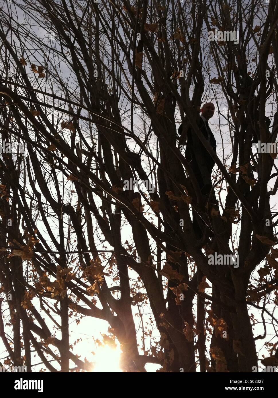 Man silhouette suit hi-res stock photography and images - Alamy