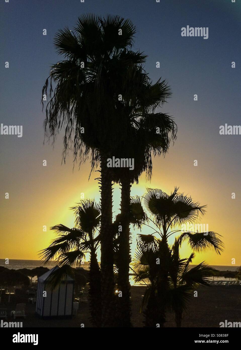 Sunset behind palm trees hi-res stock photography and images - Alamy