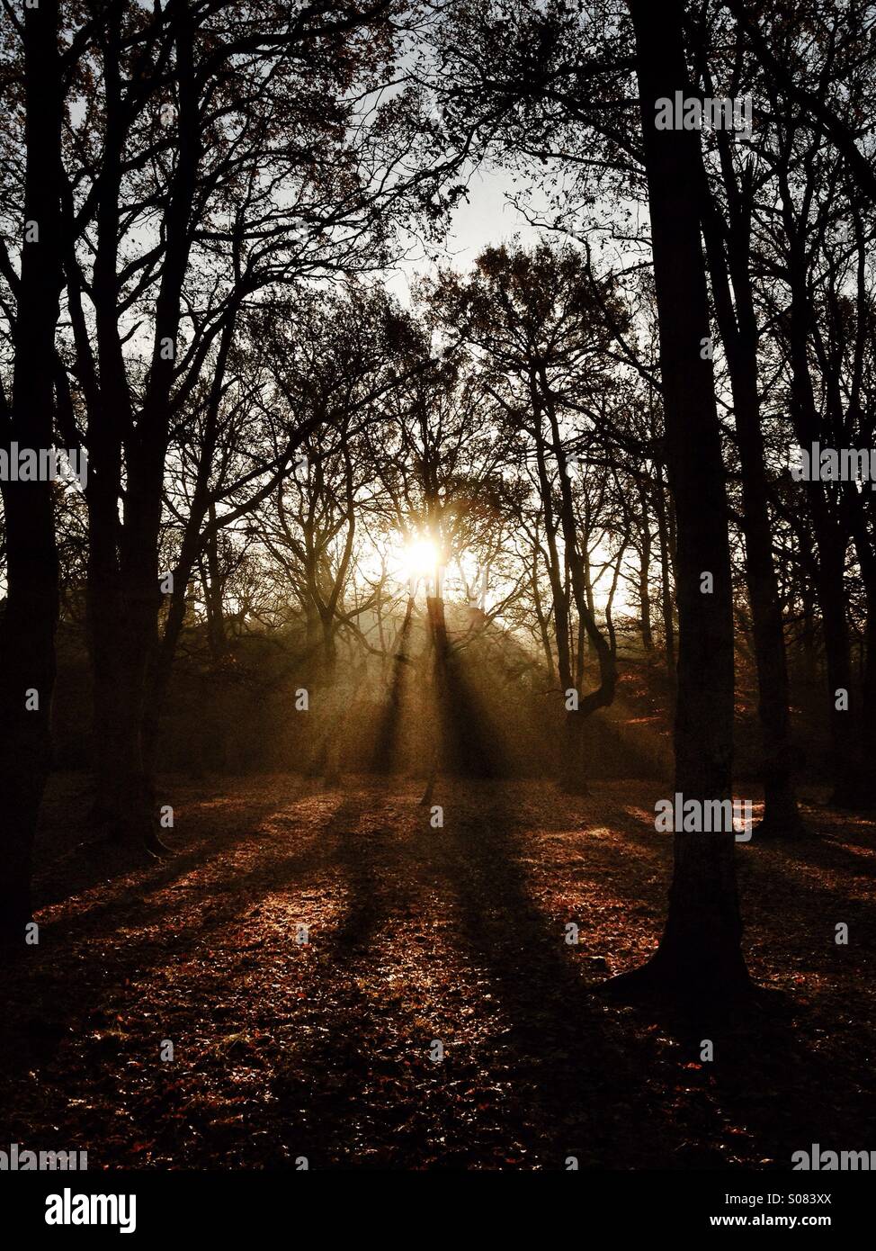 Streaming sun rays hi-res stock photography and images - Alamy