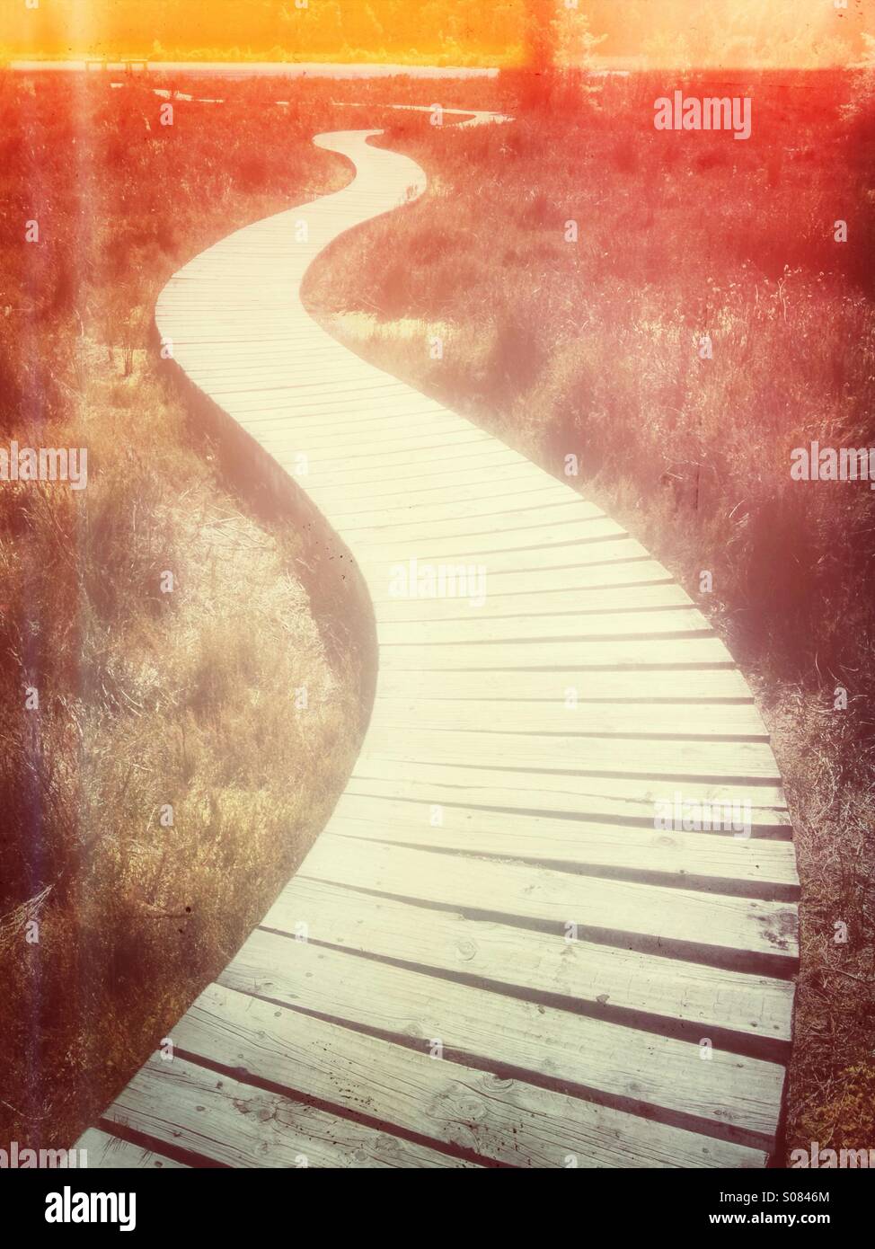 Muddy walkway hi-res stock photography and images - Alamy