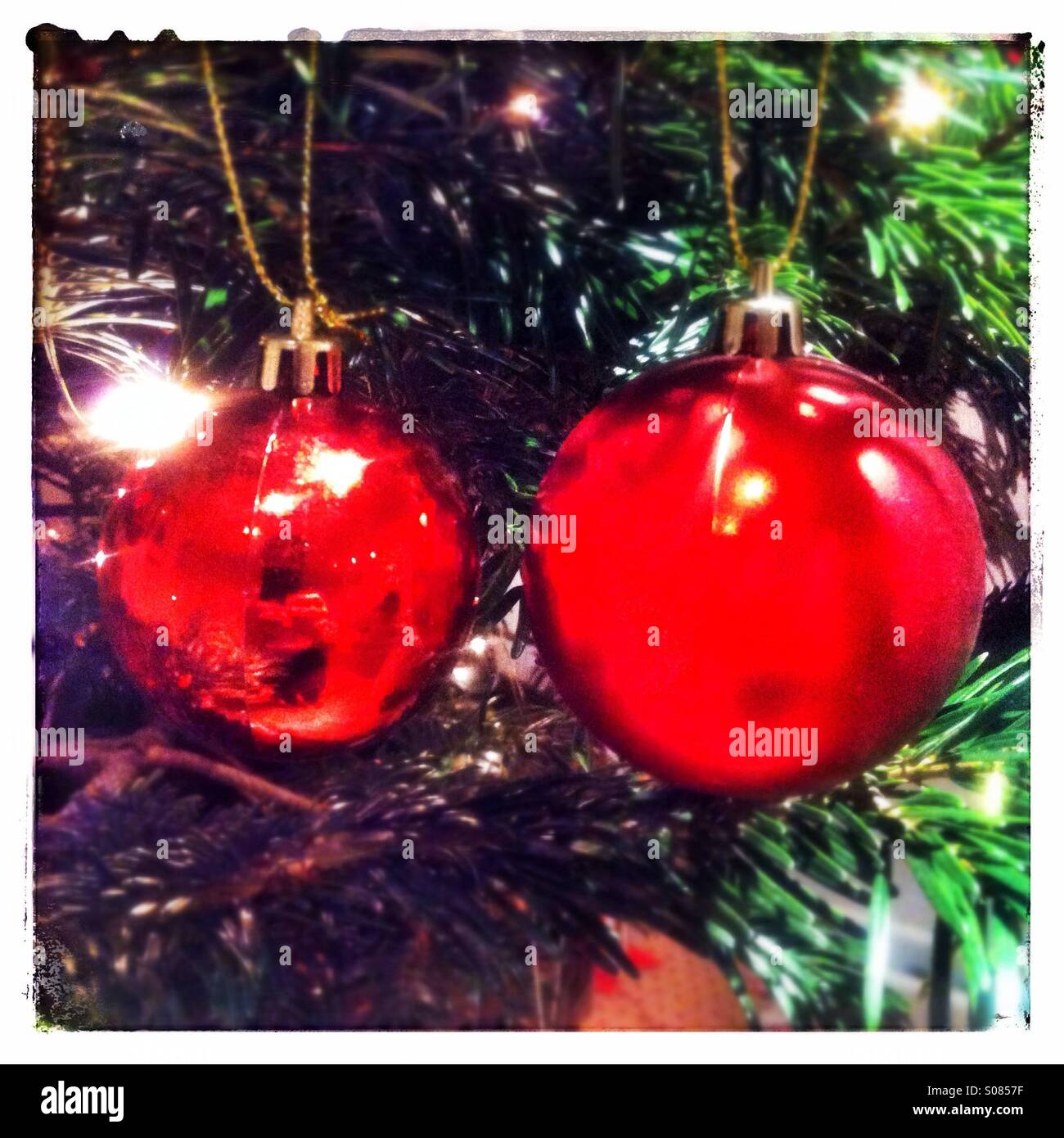 Real christmas tree hi-res stock photography and images - Alamy
