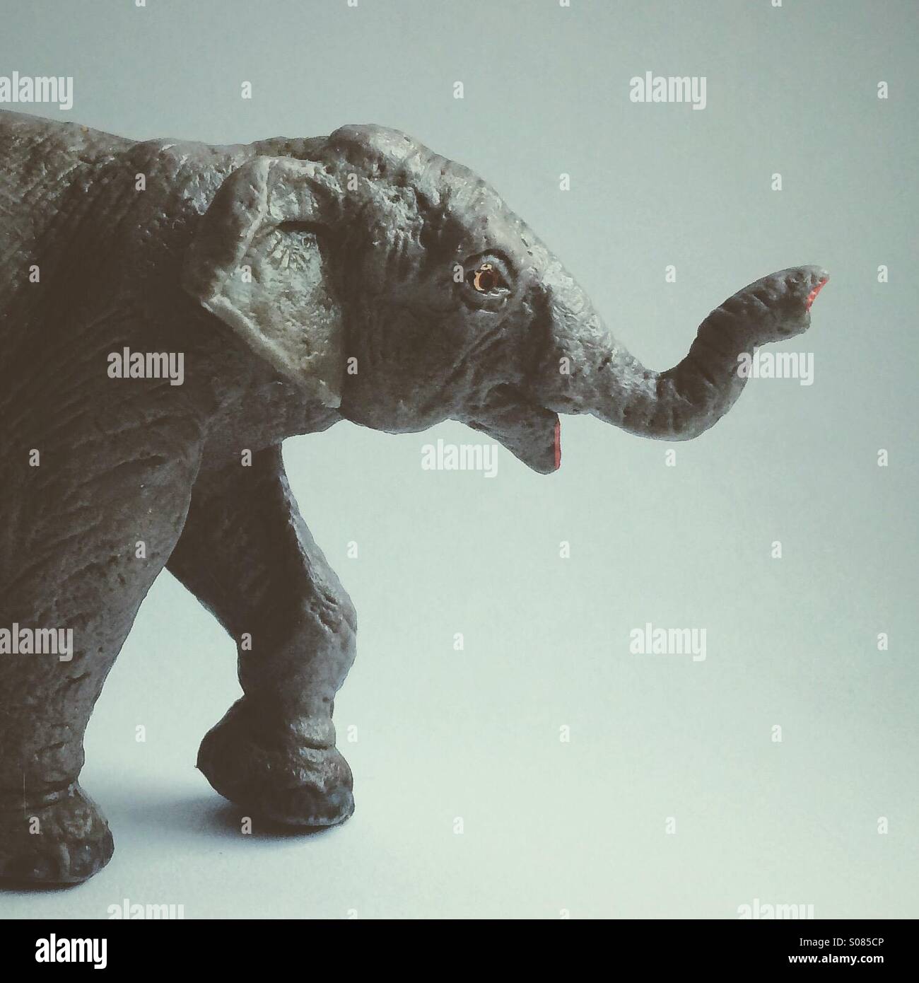 Elephant toy hi-res stock photography and images - Alamy