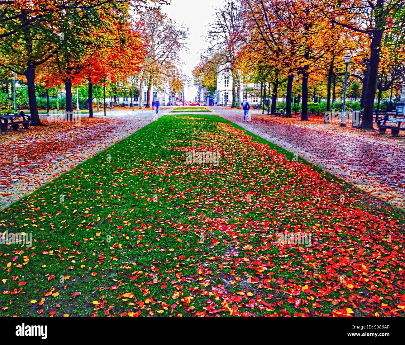 Royal park brussels hi-res stock photography and images - Alamy