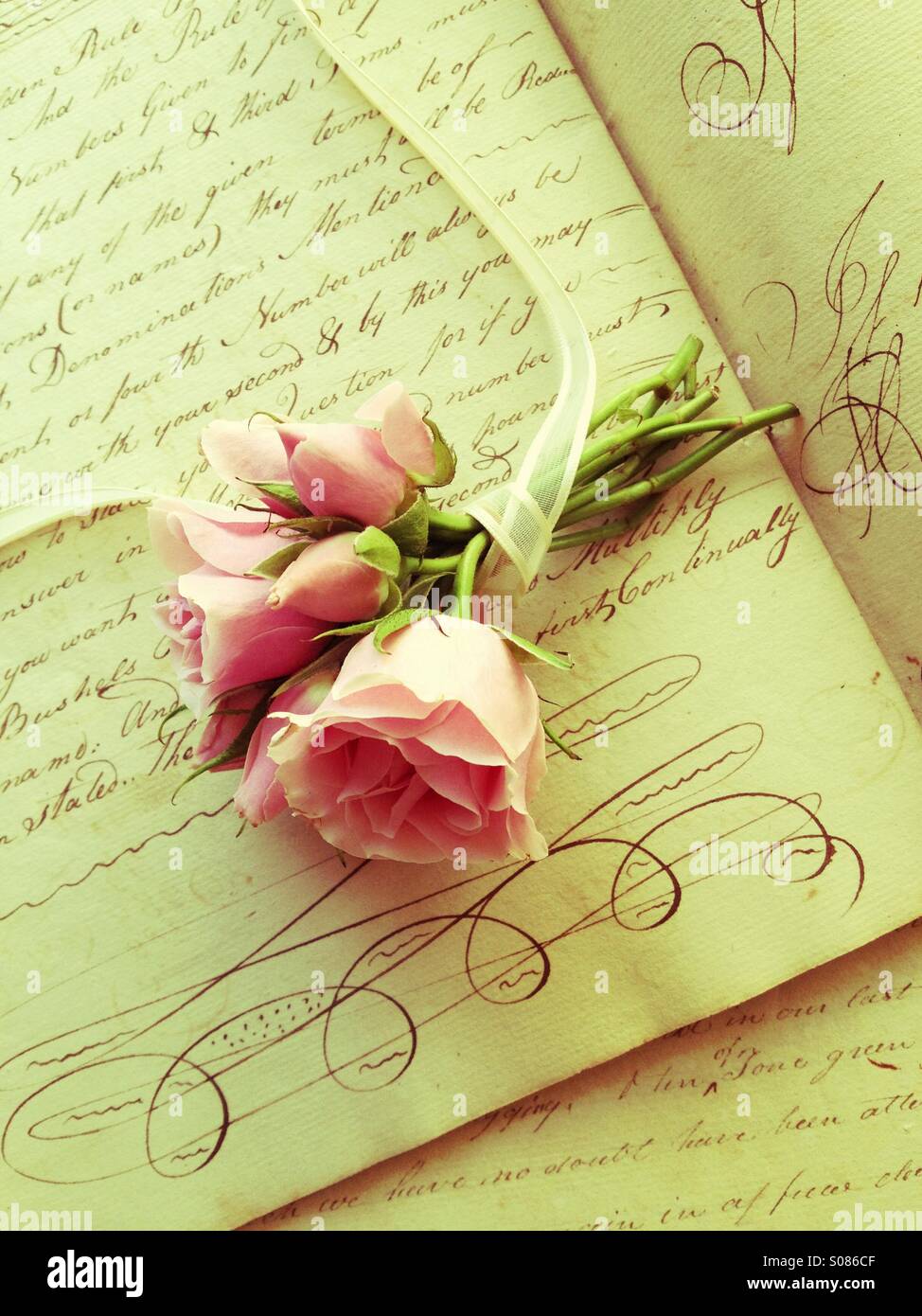Pink roses with ribbon on old handwriting Stock Photo - Alamy