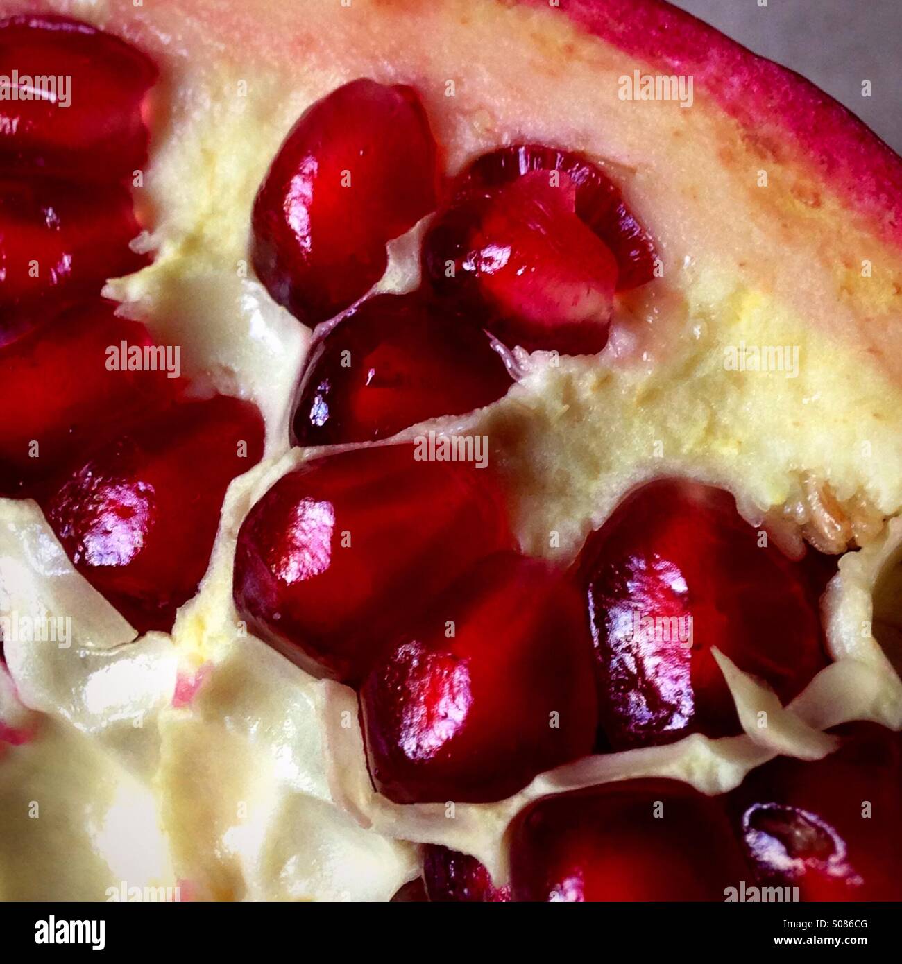 Pomegranate close up Stock Photo - Alamy