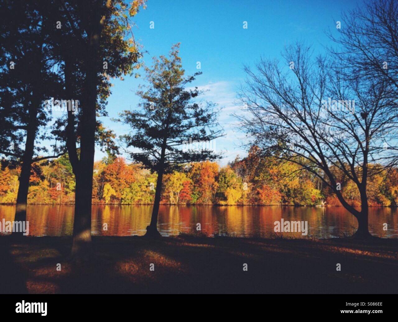 Boston charles river fall hi-res stock photography and images - Alamy