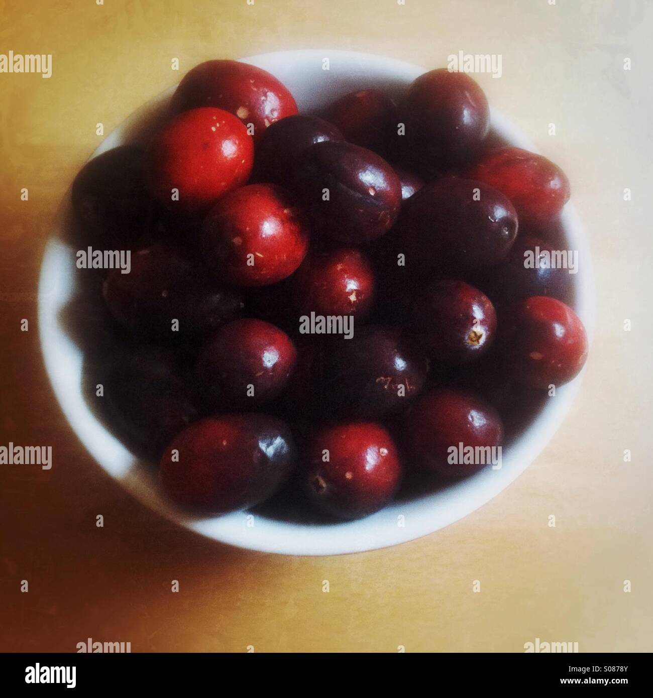 Bowl of fresh cranberries Stock Photo - Alamy