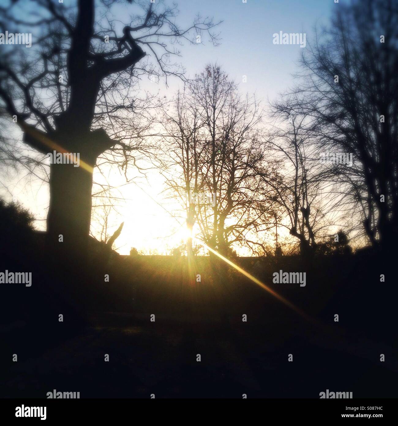 Dawn sun shining through trees hi-res stock photography and images - Alamy