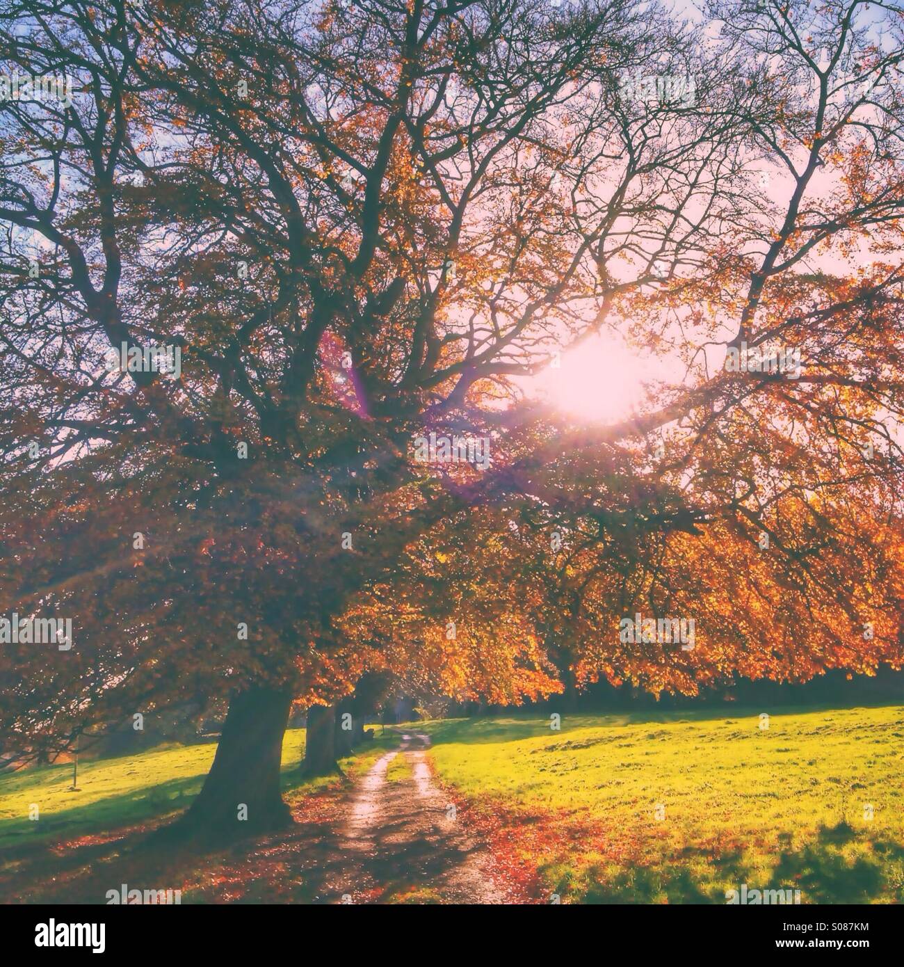 Nice day out hi-res stock photography and images - Alamy