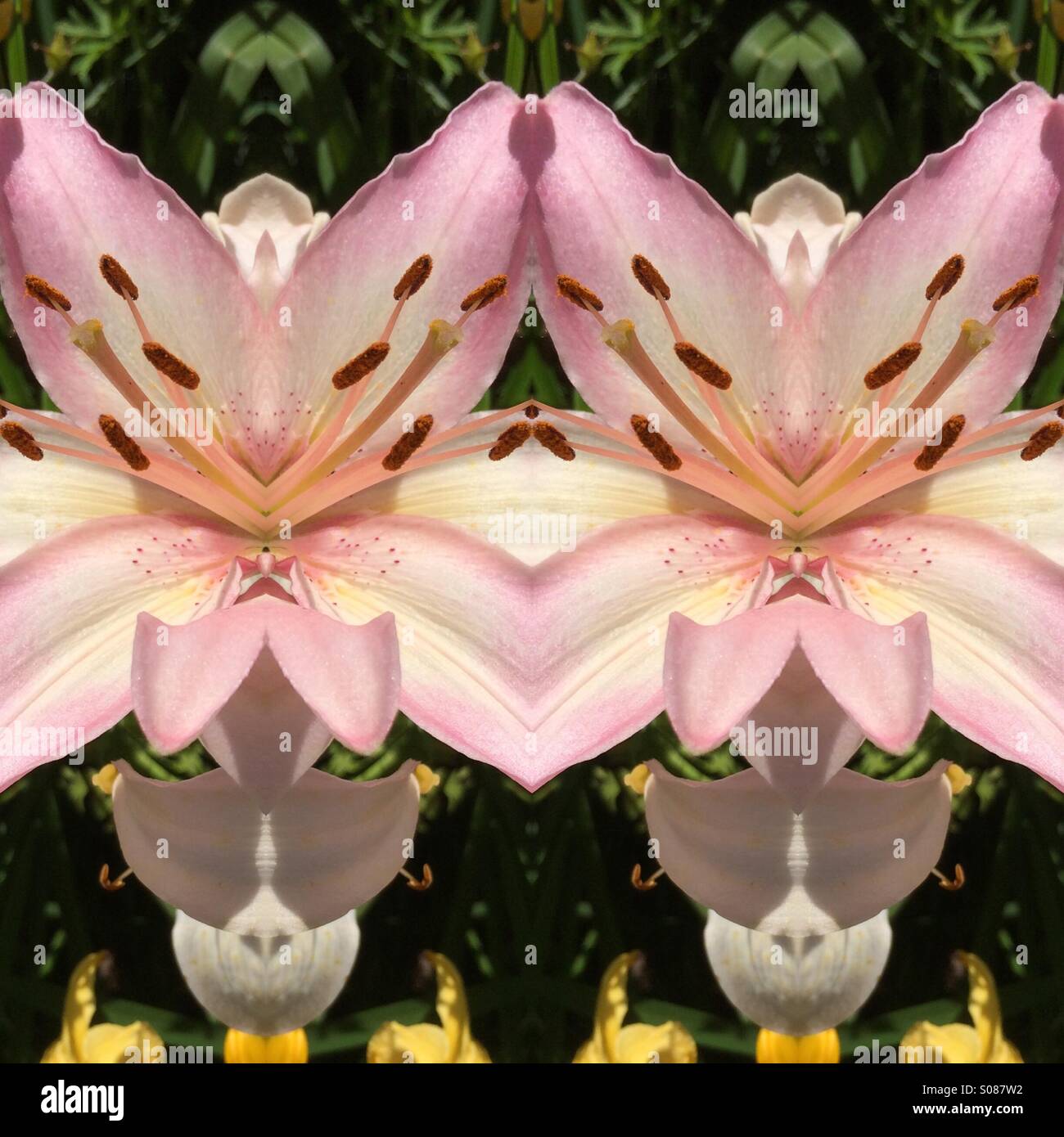 Flora art hi-res stock photography and images - Alamy