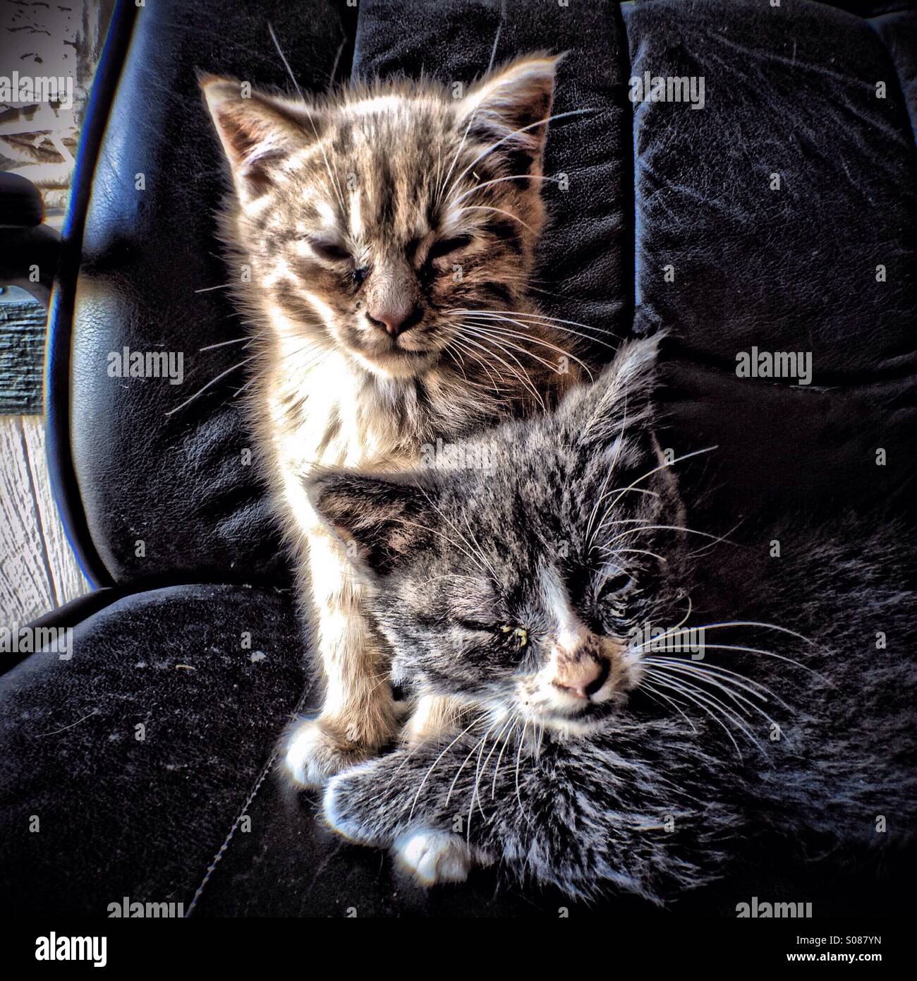 Sleepy babies hi-res stock photography and images - Alamy
