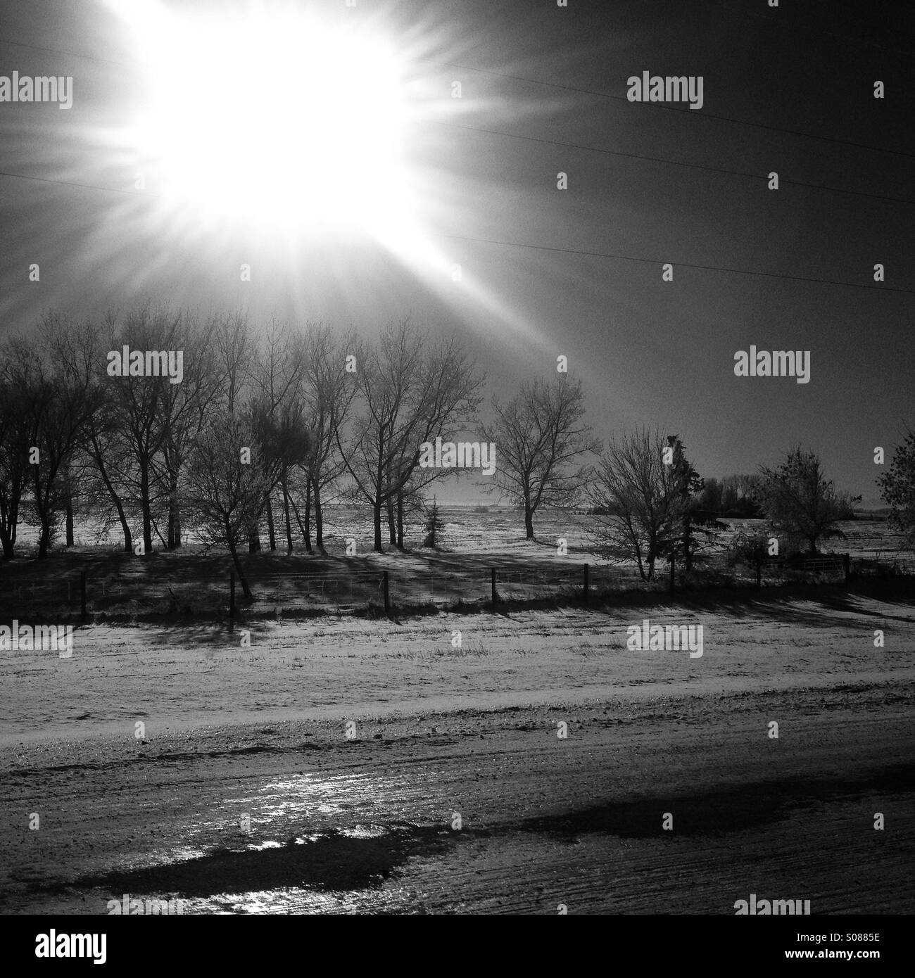 Sun and snow. While it is freezing cold (about -22C here) on the ...