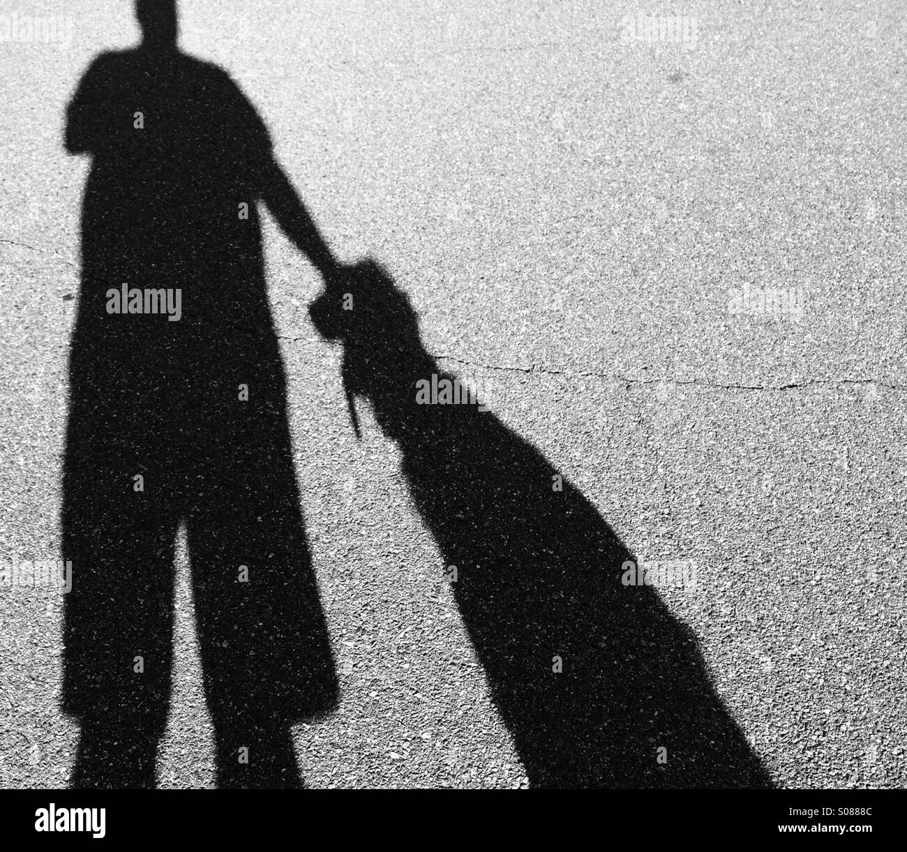 Cast dog Black and White Stock Photos & Images - Alamy