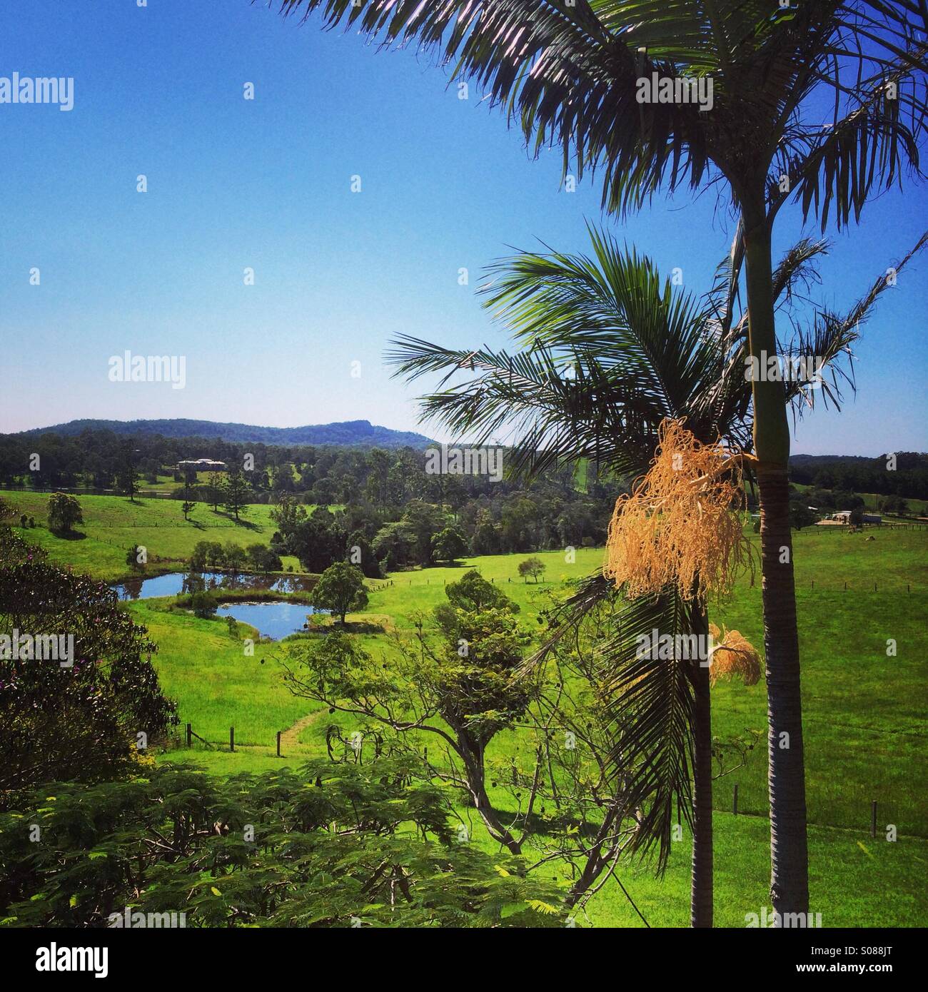 Australian cattle farming property Stock Photo - Alamy