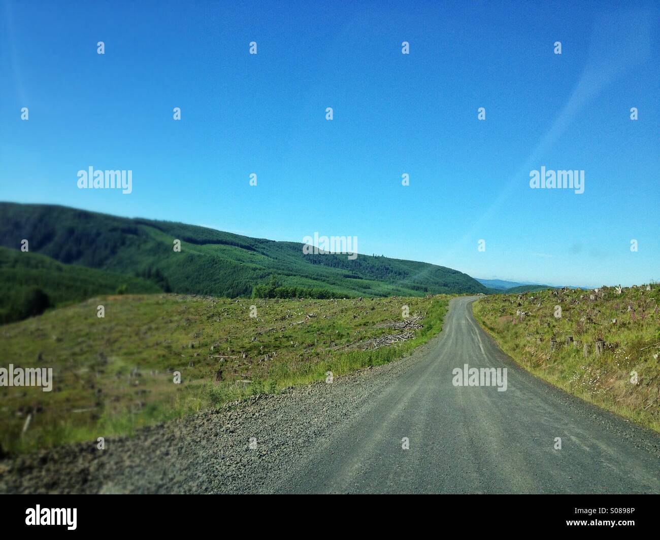 Logging road hi-res stock photography and images - Alamy