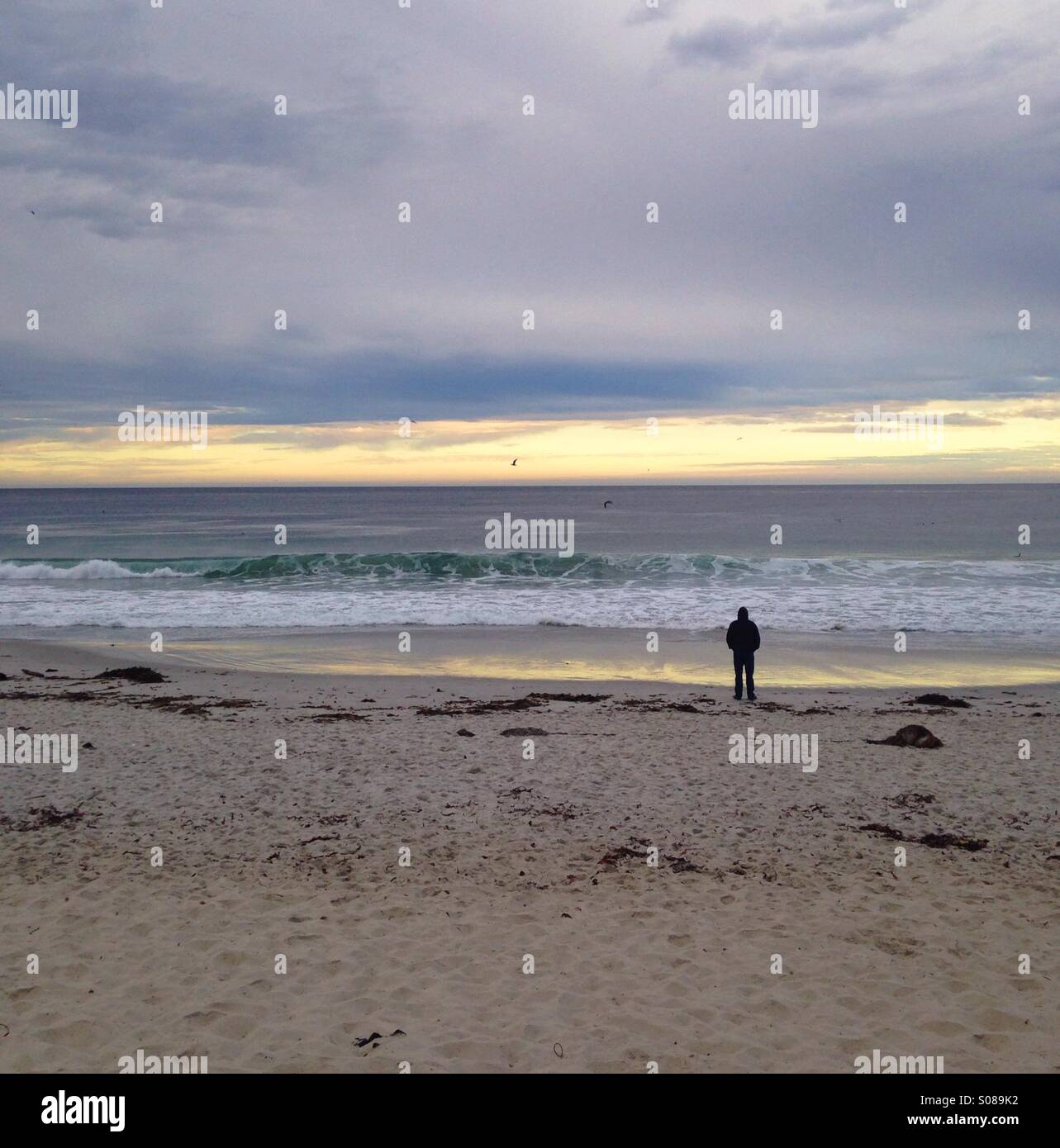 Feeling Small High Resolution Stock Photography and Images - Alamy