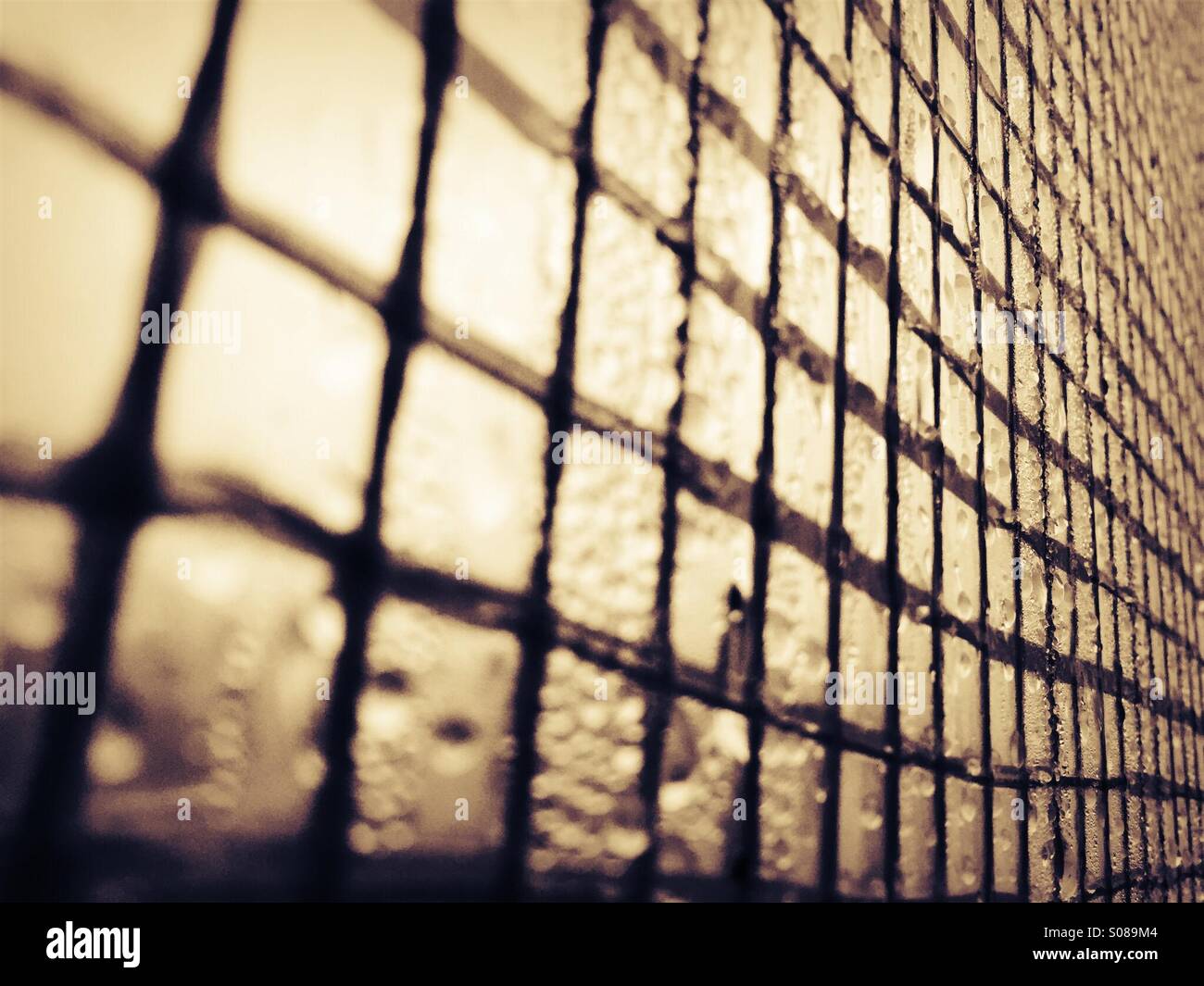 Plastic grid with raindrops Stock Photo - Alamy