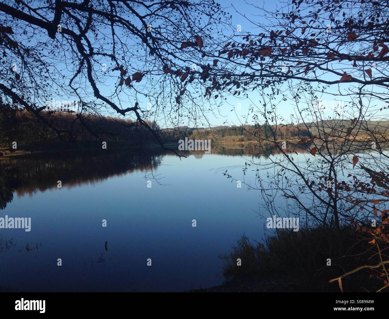Blessington hi-res stock photography and images - Alamy