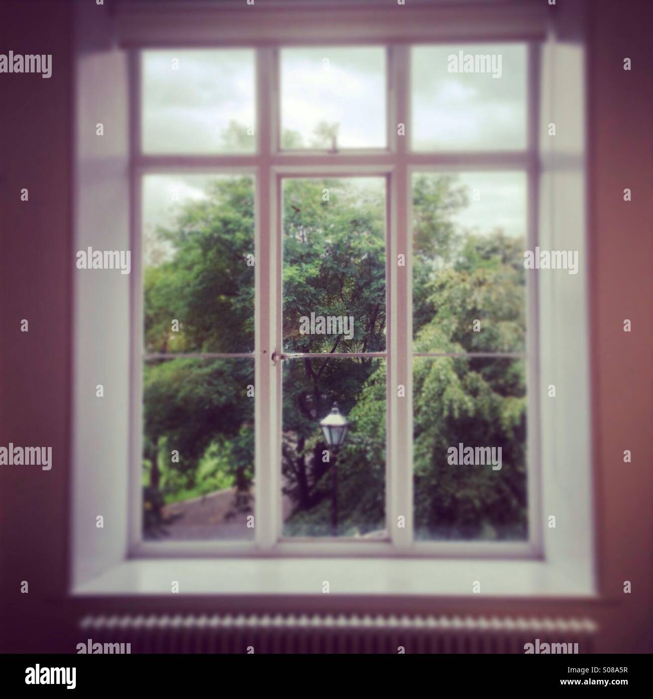 View from my window hi-res stock photography and images - Alamy