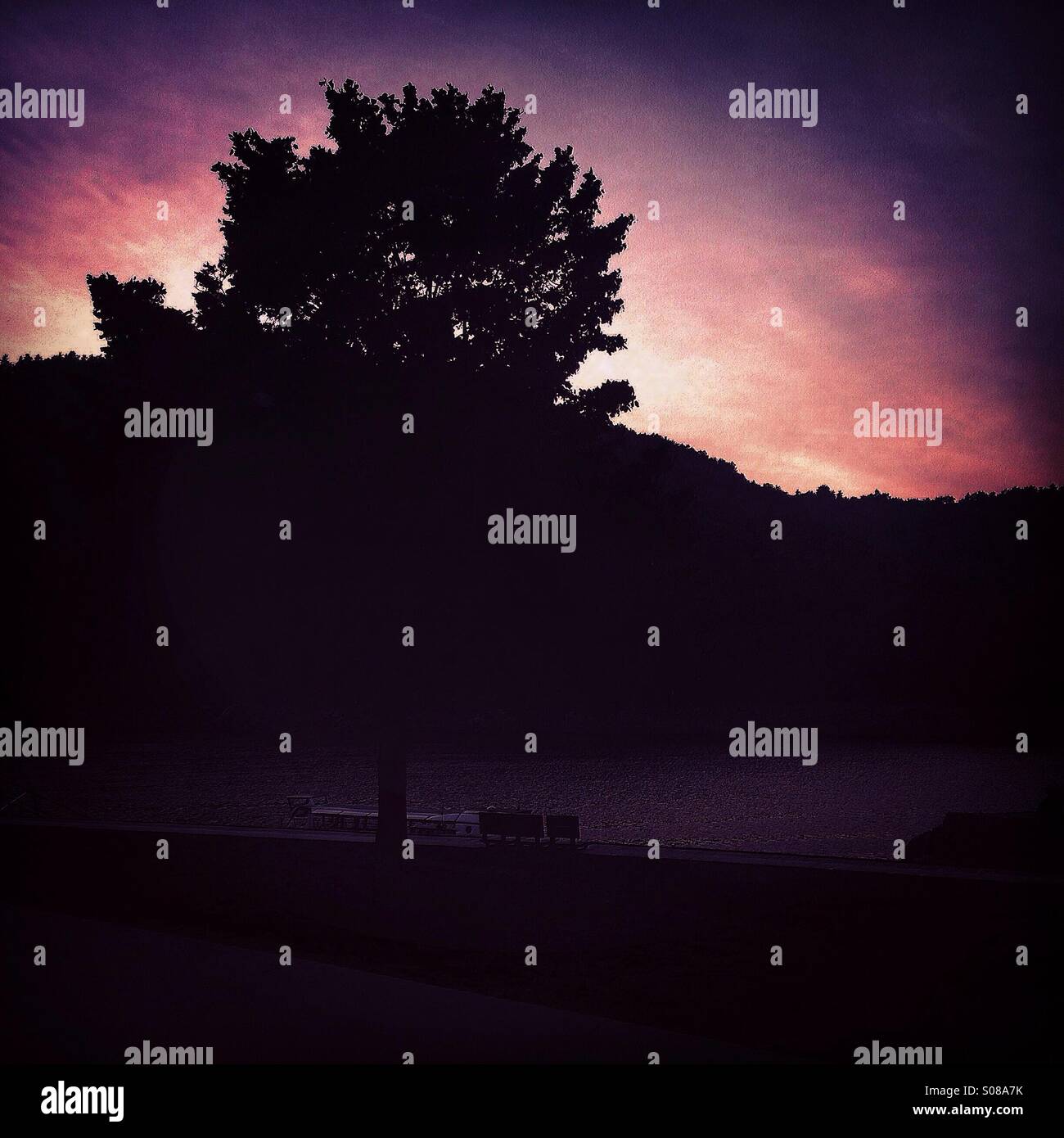 A tree at sunset Stock Photo - Alamy
