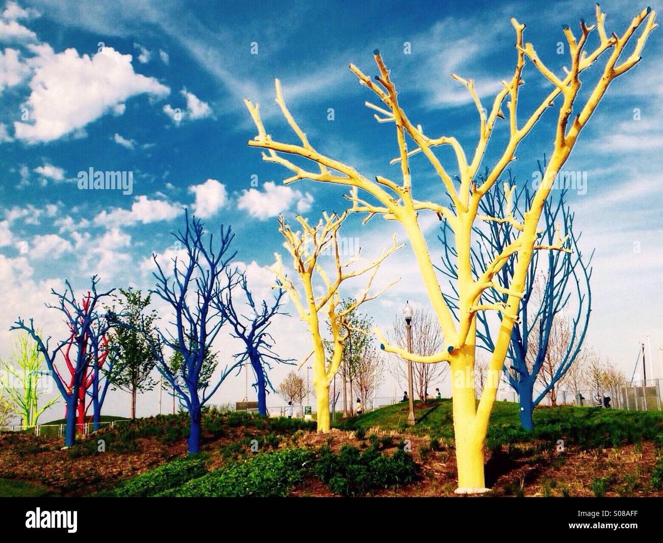 Colored trees in a park in Chicago Stock Photo - Alamy