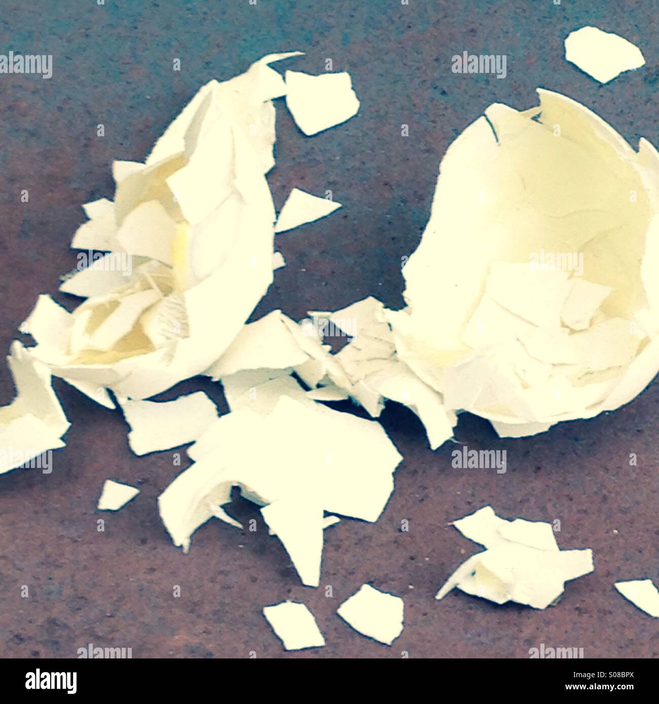 Eggshell hi-res stock photography and images - Alamy