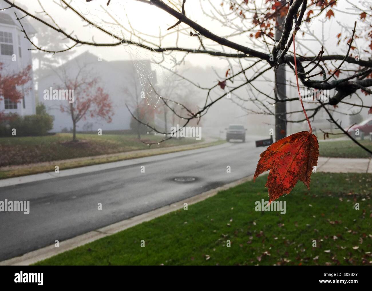 Morning colors hi-res stock photography and images - Alamy