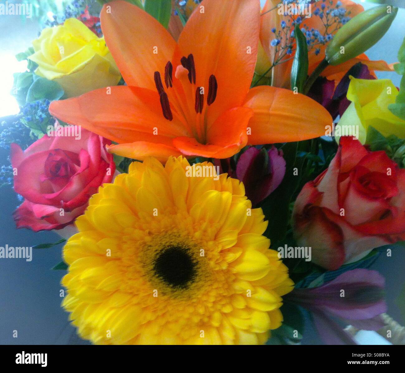Colorful bright bunch hi-res stock photography and images - Alamy