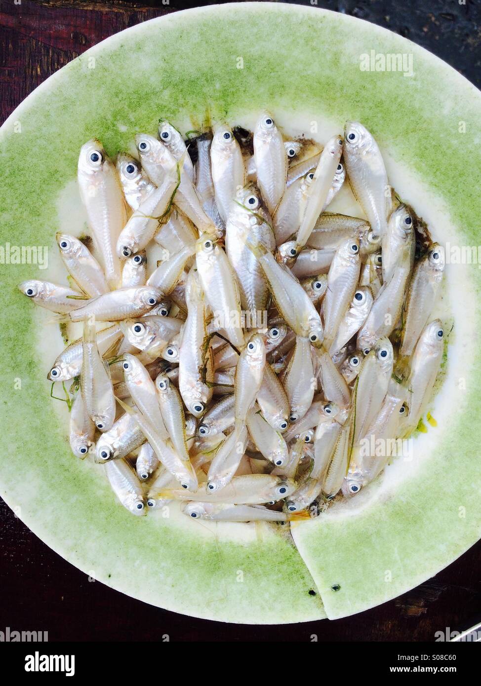 Little Fish on plate in Hoi An market Stock Photo - Alamy
