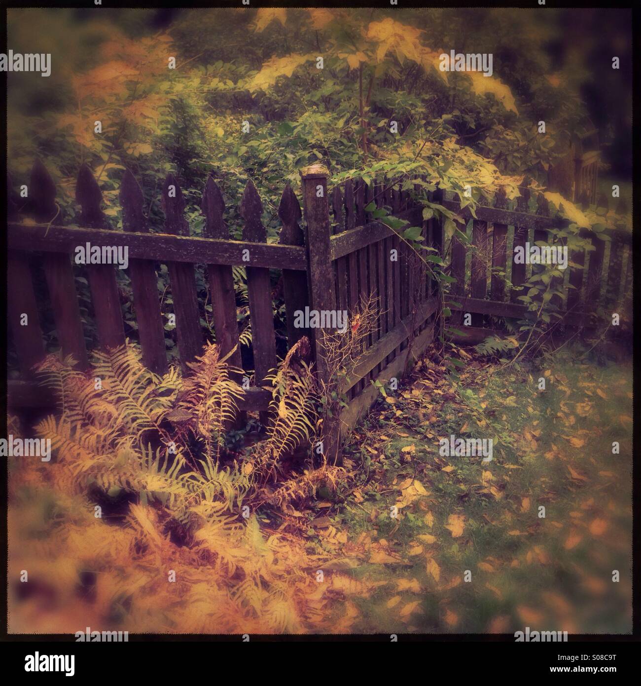 Wooden fence line hi-res stock photography and images - Alamy