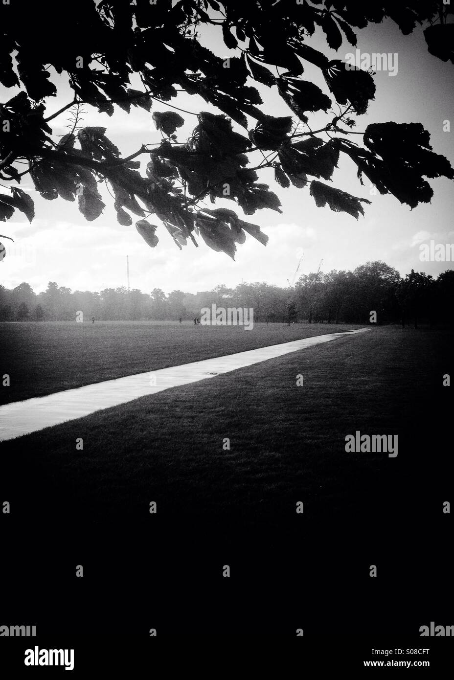 Sheltering under a tree in Regents Park Stock Photo - Alamy