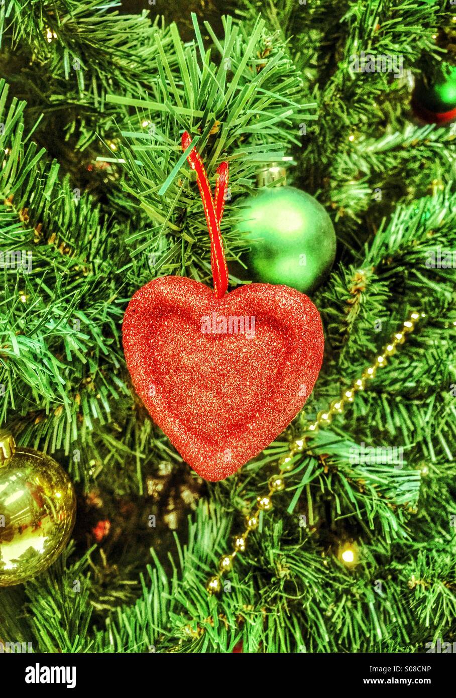 Symbols on trees hi-res stock photography and images - Alamy