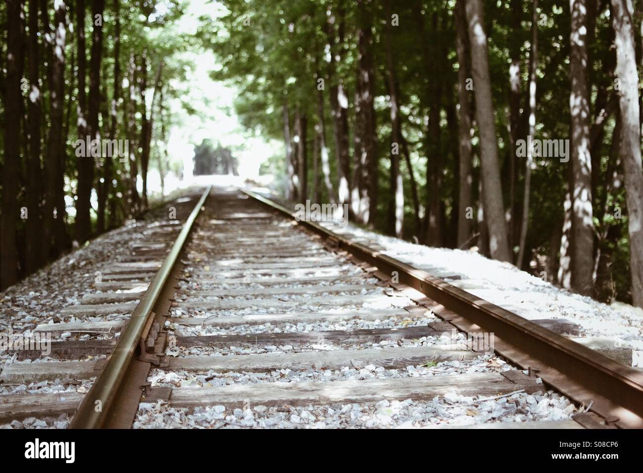 Summer train tracks hi-res stock photography and images - Alamy