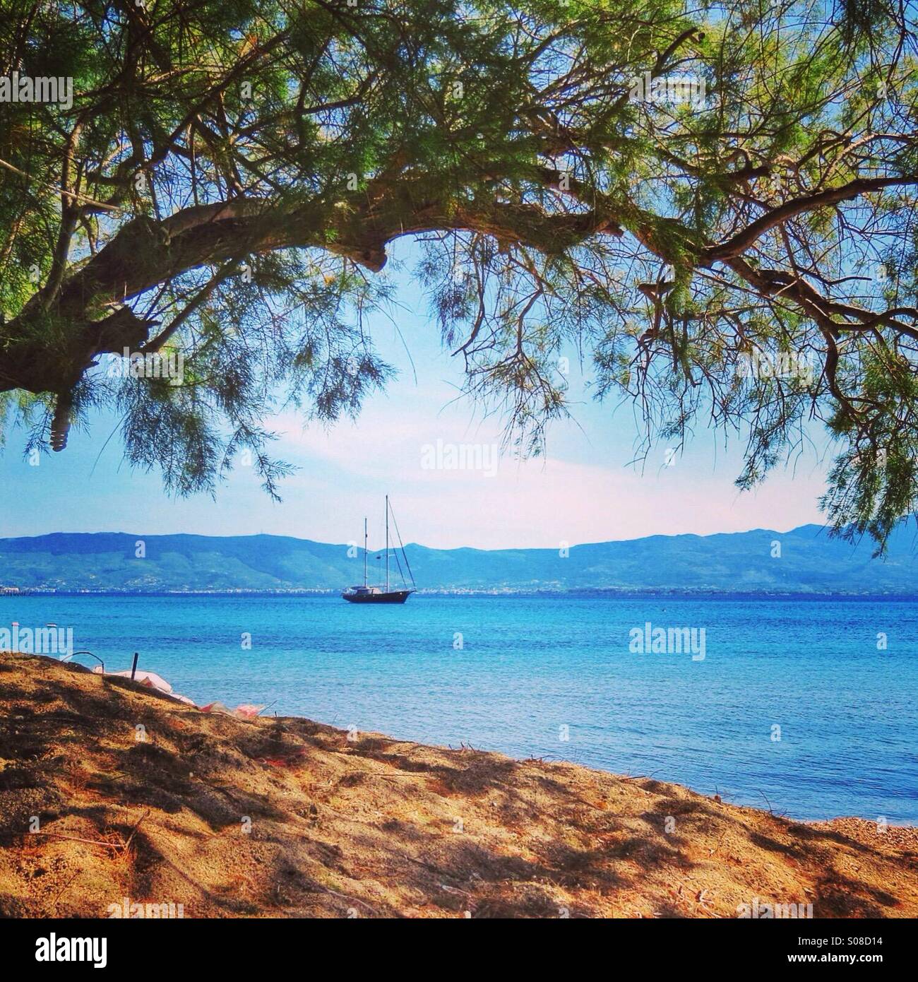 Shadows under a tree hi-res stock photography and images - Alamy