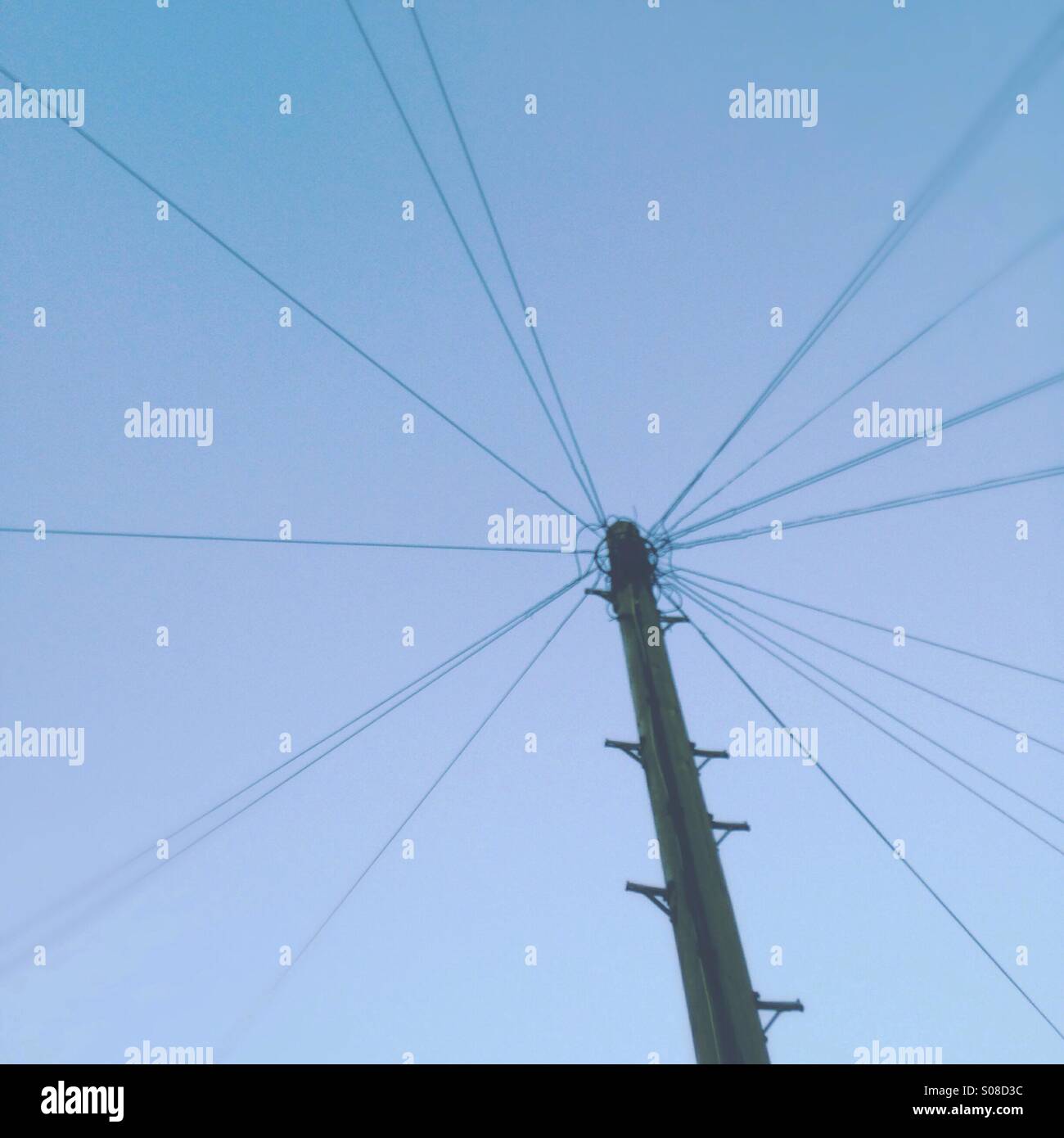 Ladder and telegraph pole hi-res stock photography and images - Alamy