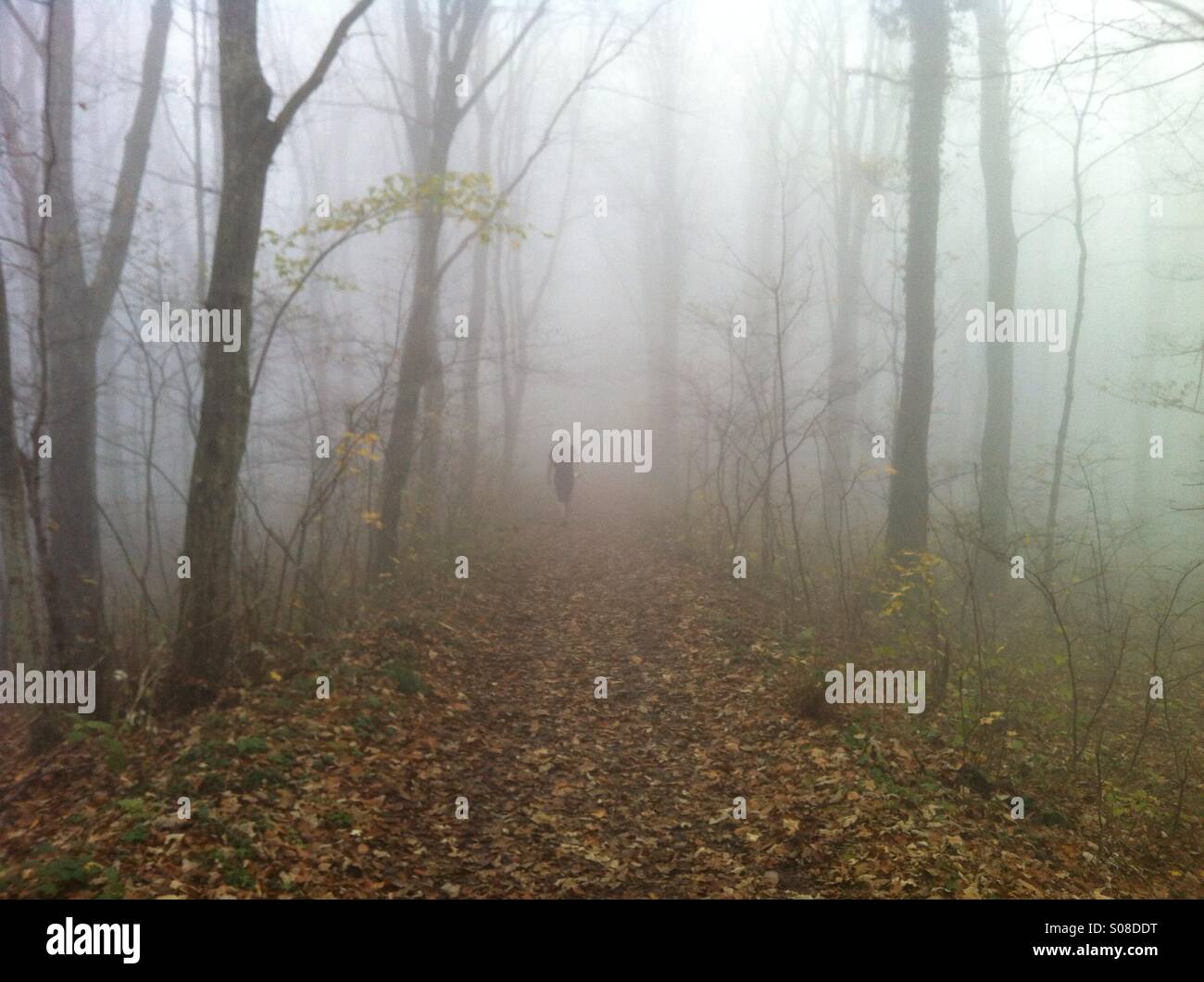 out od the mist Stock Photo - Alamy