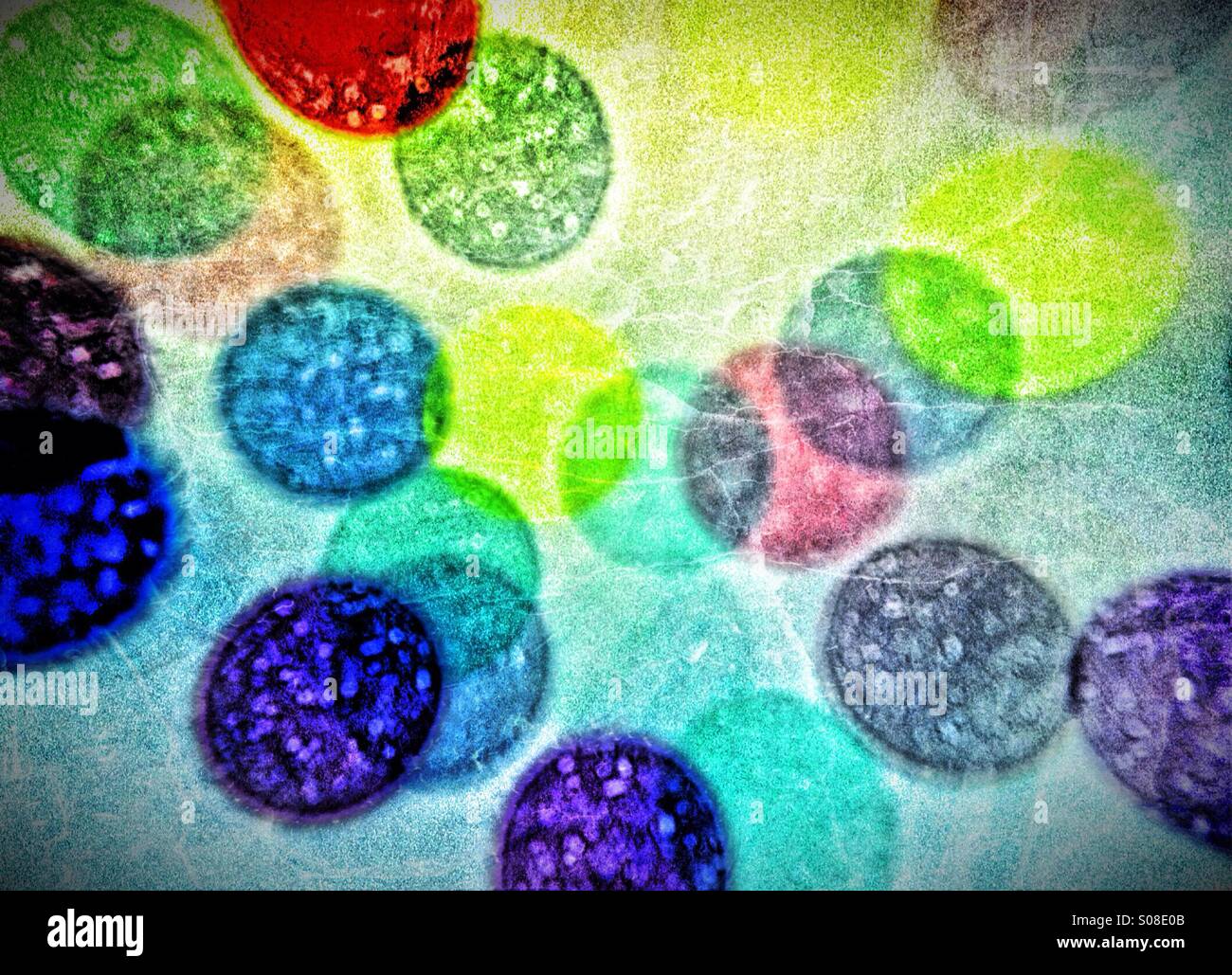 Inverted christmas tree hi-res stock photography and images - Alamy