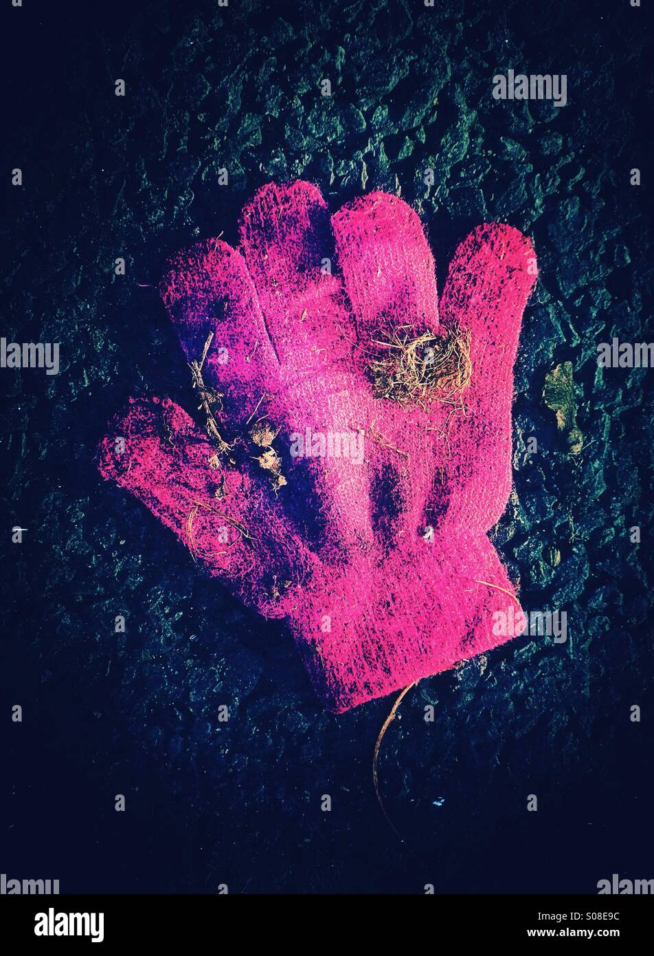 Lost - a dropped child's pink glove Stock Photo - Alamy