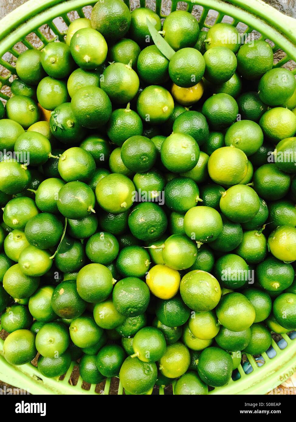 Slimed hi-res stock photography and images - Alamy