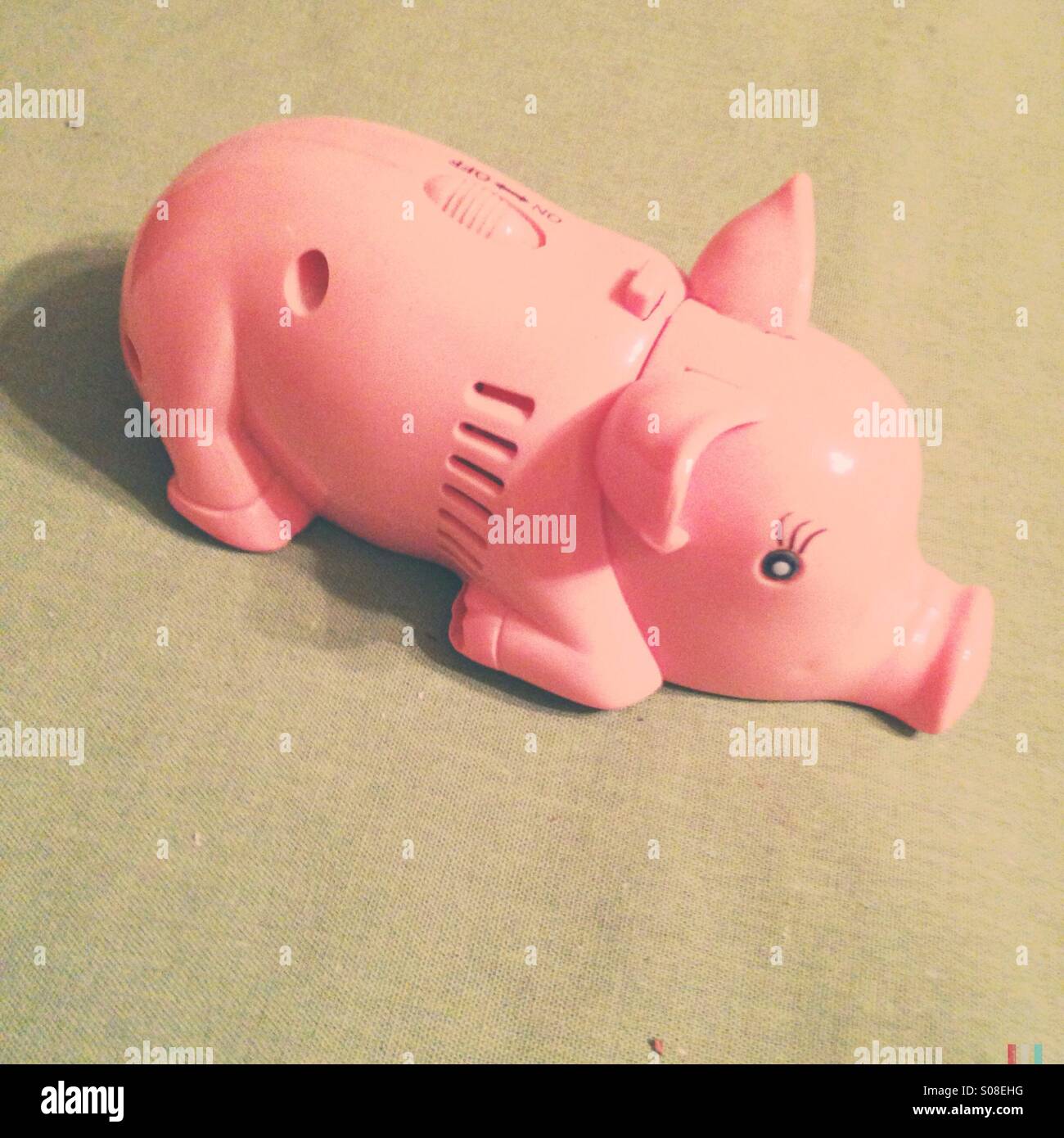 Pig clean hi-res stock photography and images - Alamy
