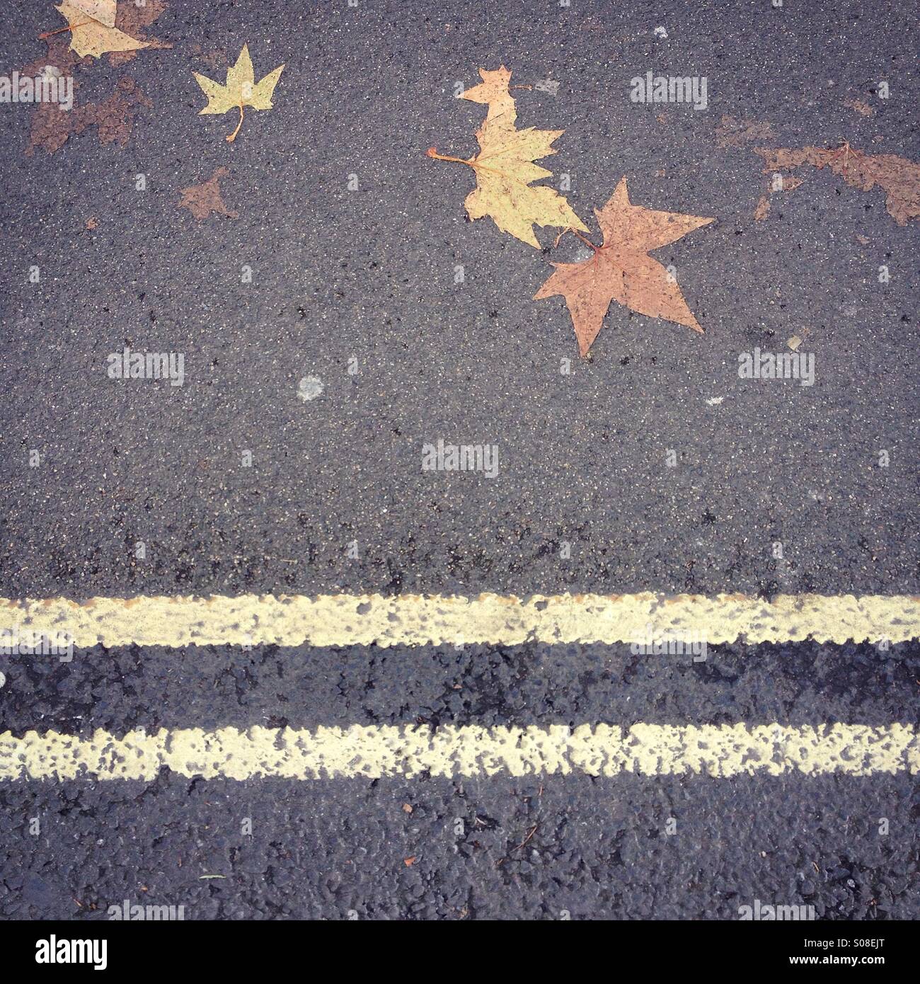 Tarmac leaves hi-res stock photography and images - Alamy