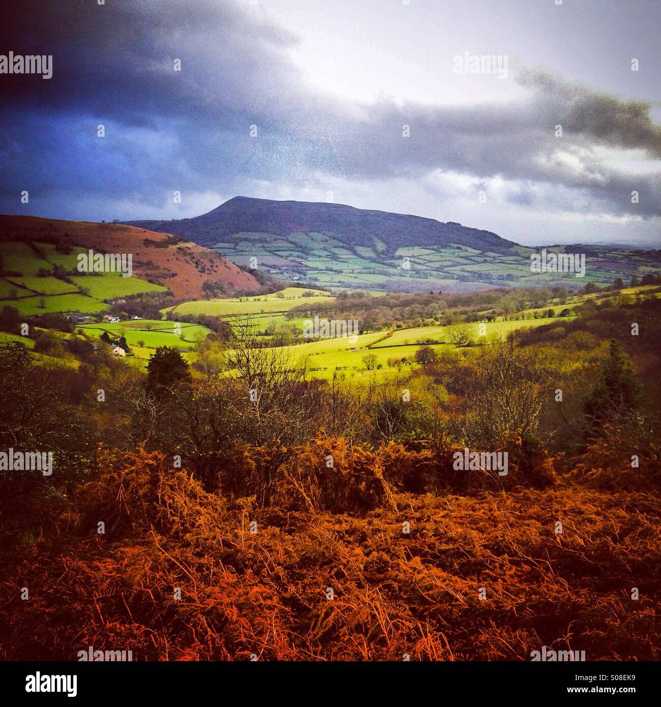 Ysgyryd Fawr (Skirrid Fawr) mountain near Abergavenny, South Wales, UK ...