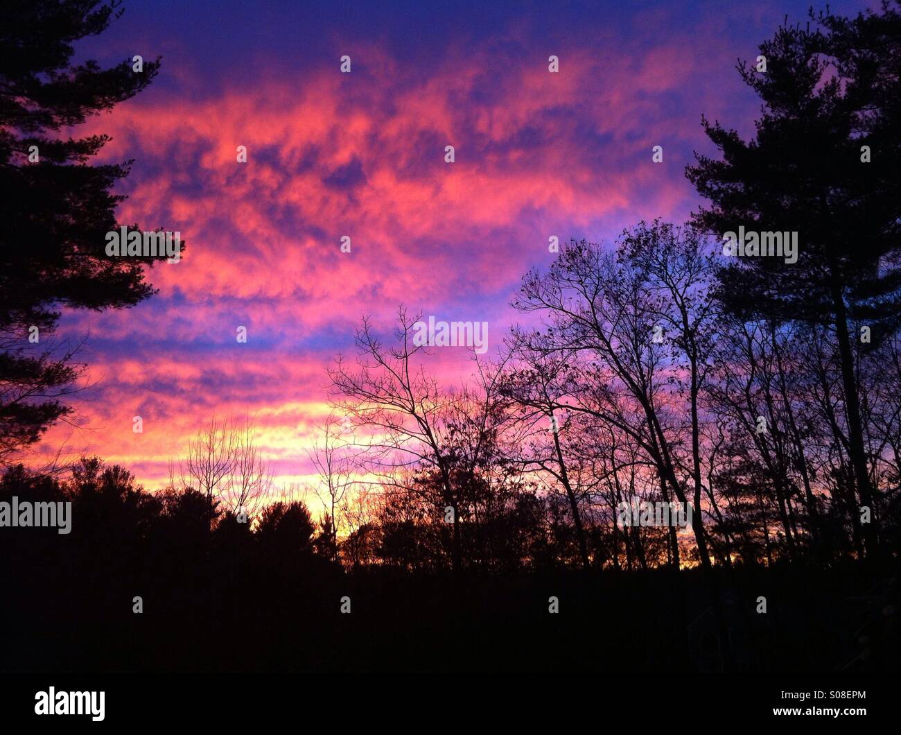 Neighborhood with trees hi-res stock photography and images - Alamy