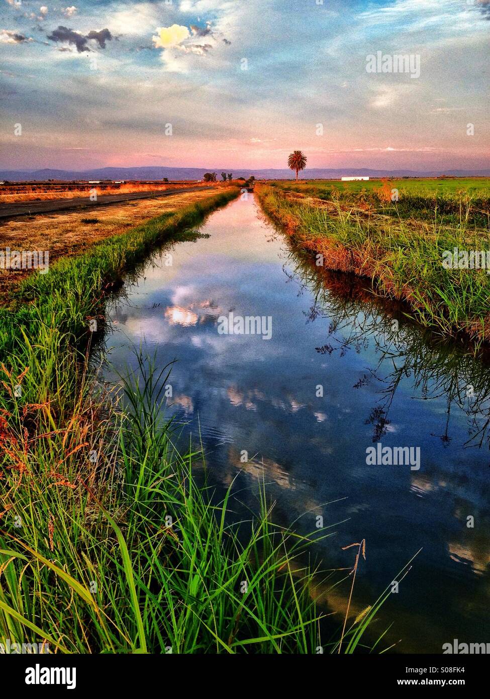 Canal Irrigating a Rice Field in Northern California Stock Photo - Alamy