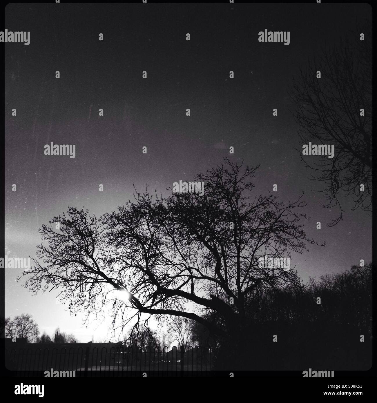 Evil Night Sky