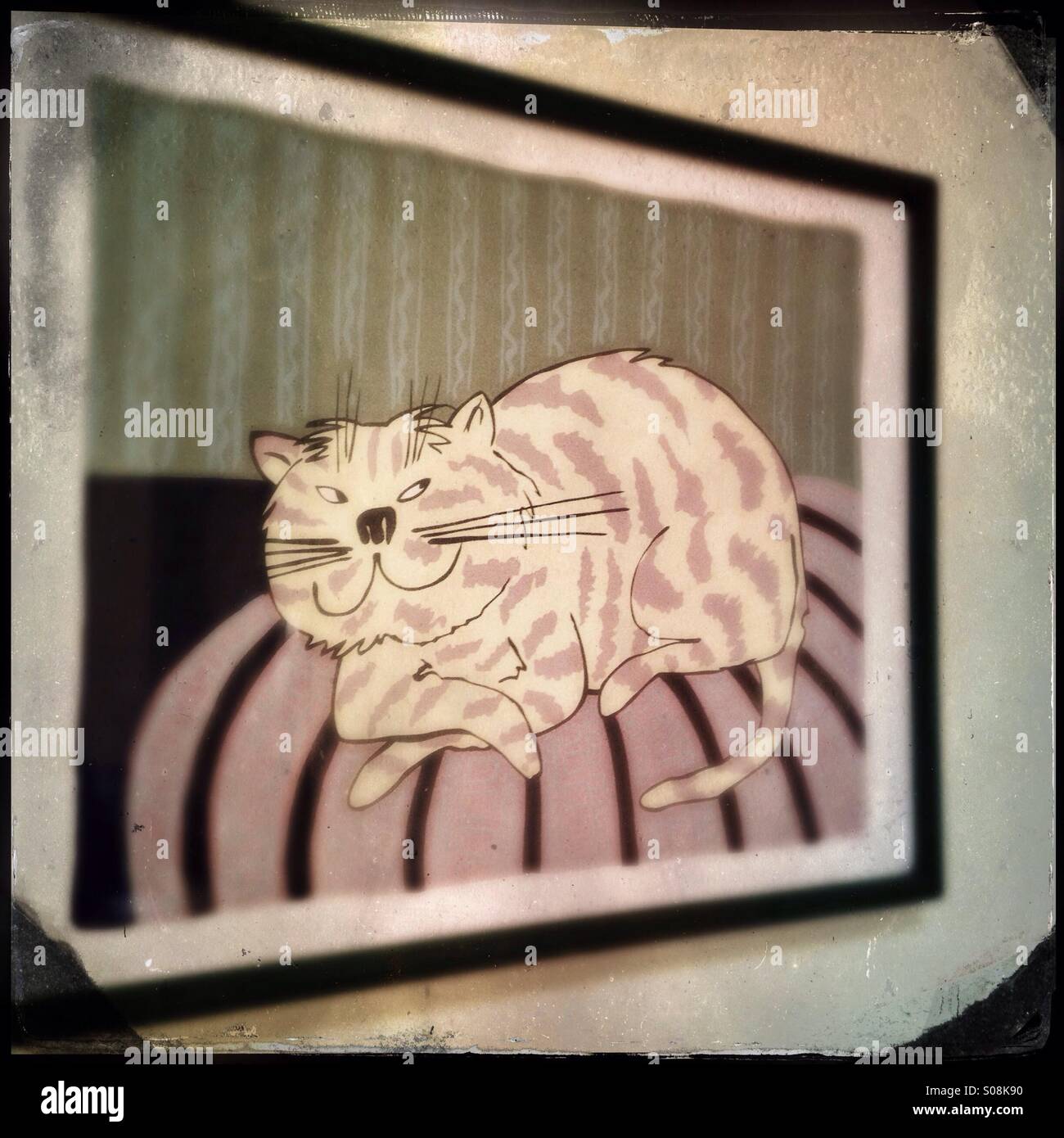 Cat Picture High Resolution Stock Photography and Images - Alamy